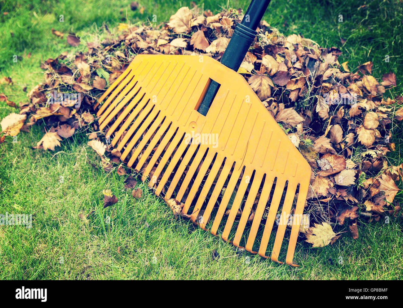 Fall work outdoors hi-res stock photography and images - Alamy