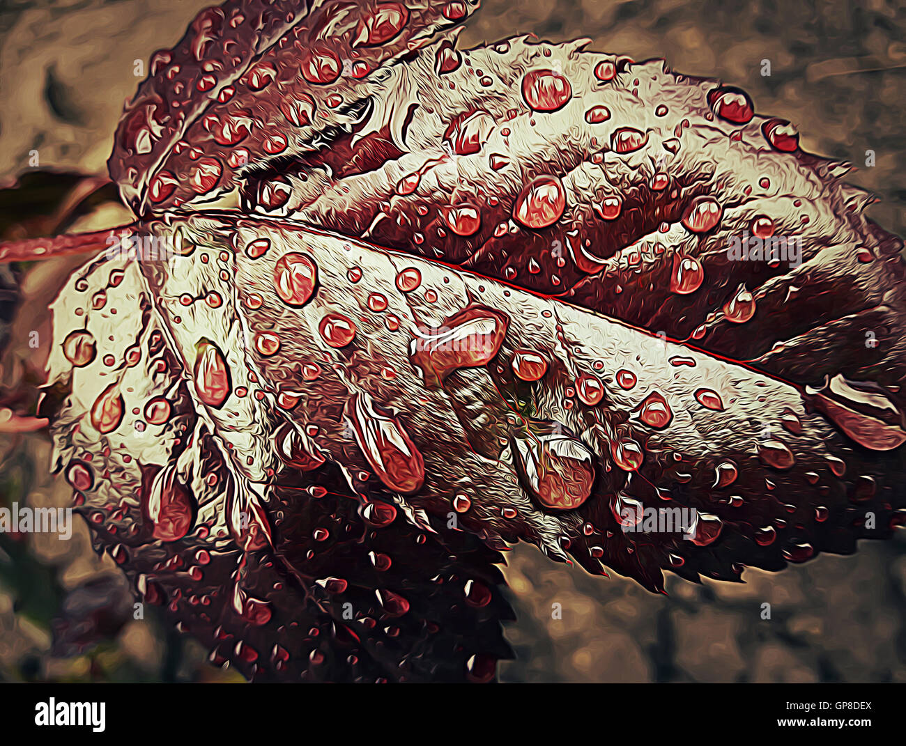 Rose red leaf with water drops on it. Illustration for background Stock ...