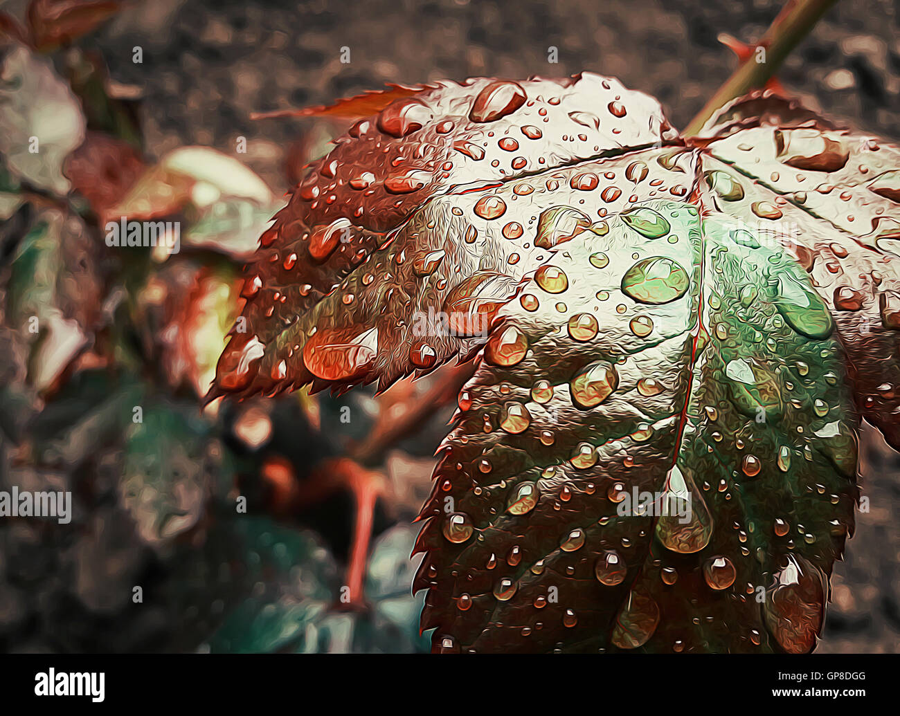 Closeup illustration of dew droplets on rose leaves. Fresh background ...