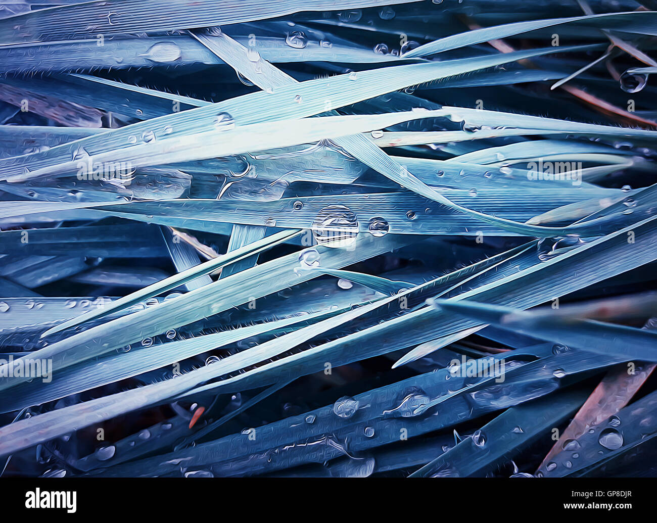 Vitality grass hi-res stock photography and images - Alamy