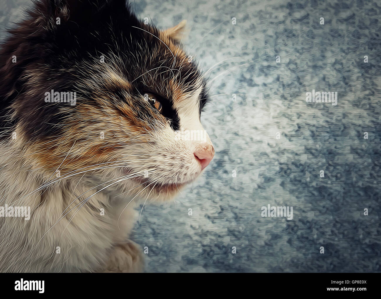 Stripped cat in profile looking forward attentive, sneak. Illustration ...