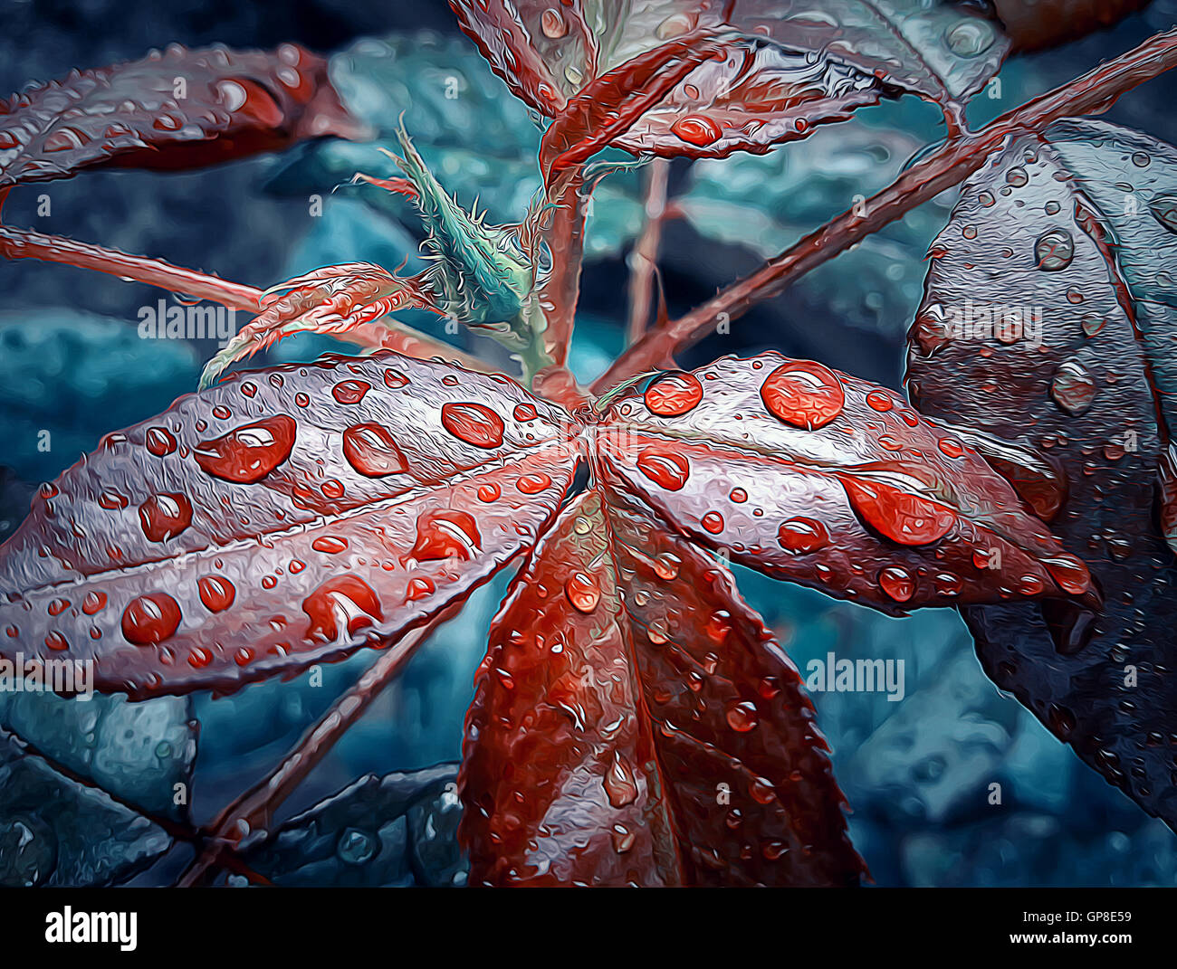 Abstract natural illustration hi-res stock photography and images - Alamy
