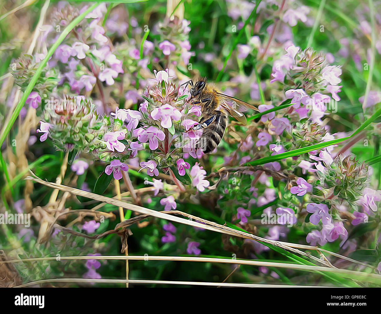 Illustration of a diligent bee collecting nectar on a flowering field ...