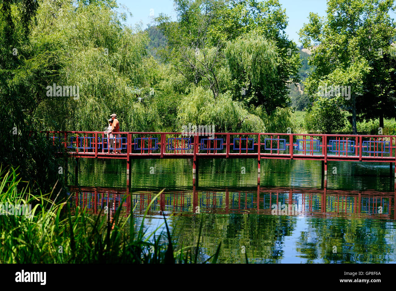 Jade Lake and Garden of Chateau Montelena winery,Calistoga,California ...