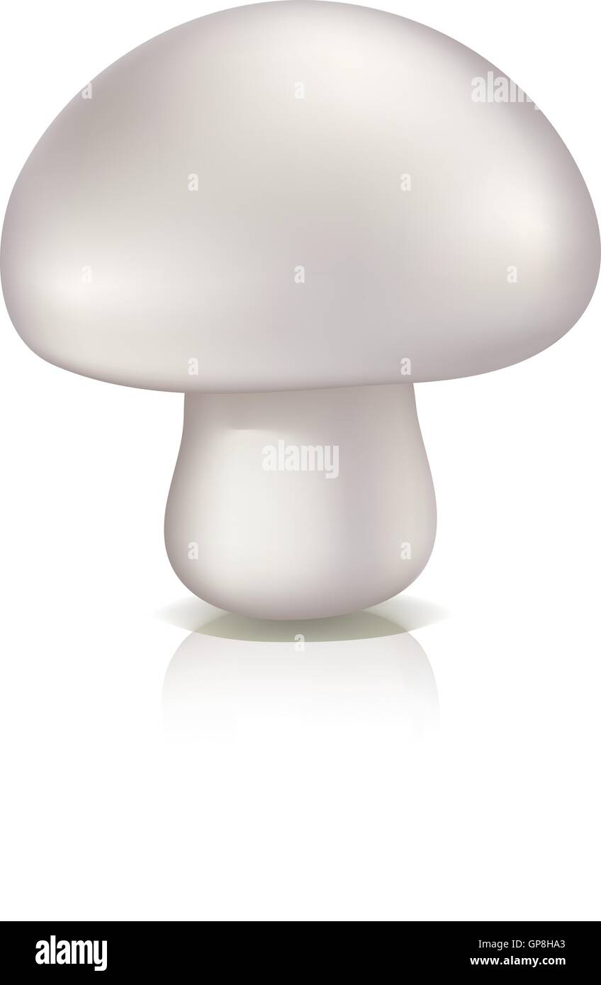 Mushroom vector isolated on a white background Stock Vector Image & Art ...