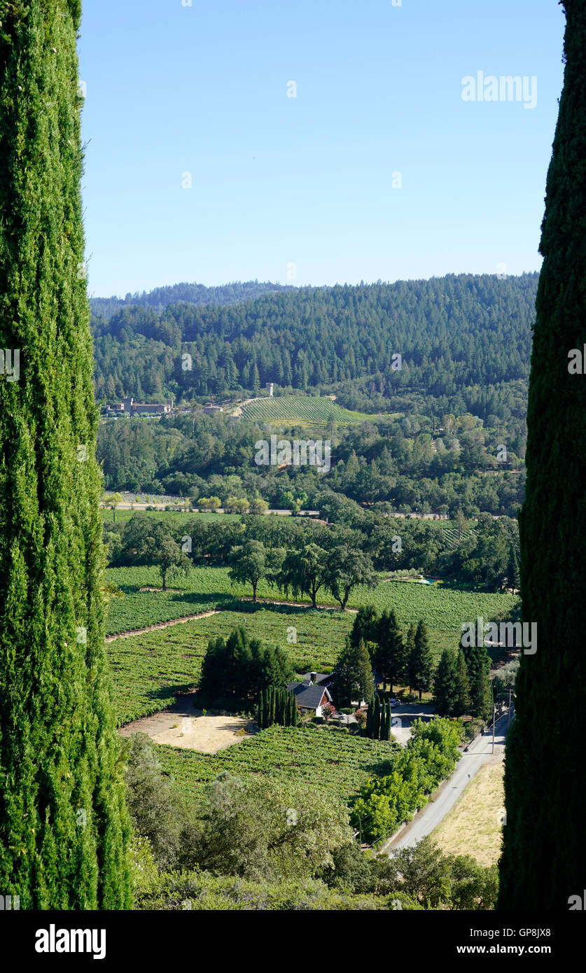 View of vineyards near Calistoga,Napa Valley.Northern California,USA ...