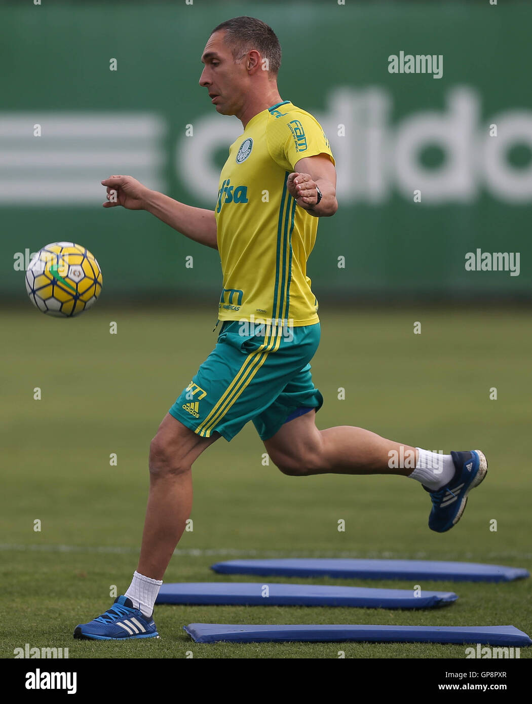 SÃO PAULO, SP - 02.09.2016: TREINO DO PALMEIRAS - The goalkeeper ...
