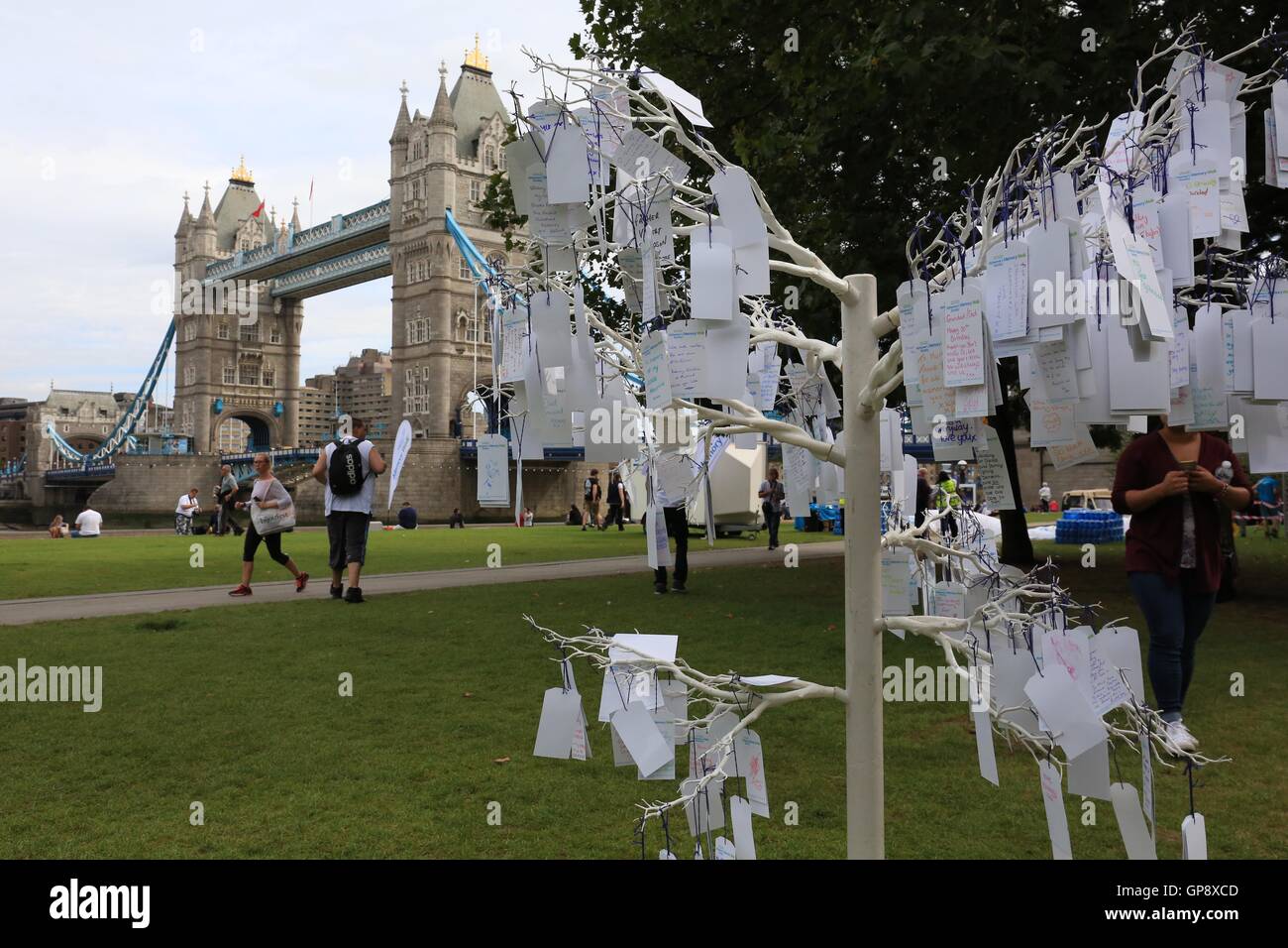 Memory walk sees thousands people hi-res stock photography and images ...