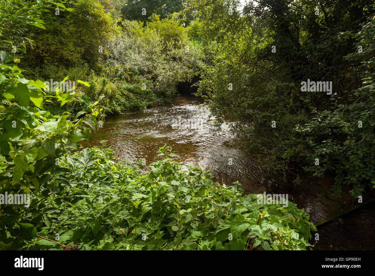 Batford Springs High Resolution Stock Photography and Images - Alamy