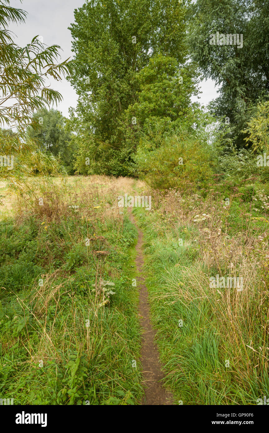 Batford Springs High Resolution Stock Photography and Images - Alamy