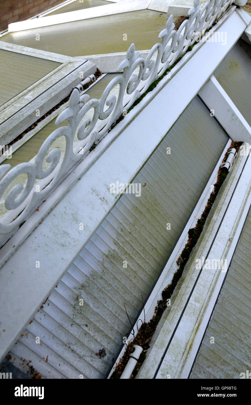 Dirty conservatory roof Stock Photo - Alamy