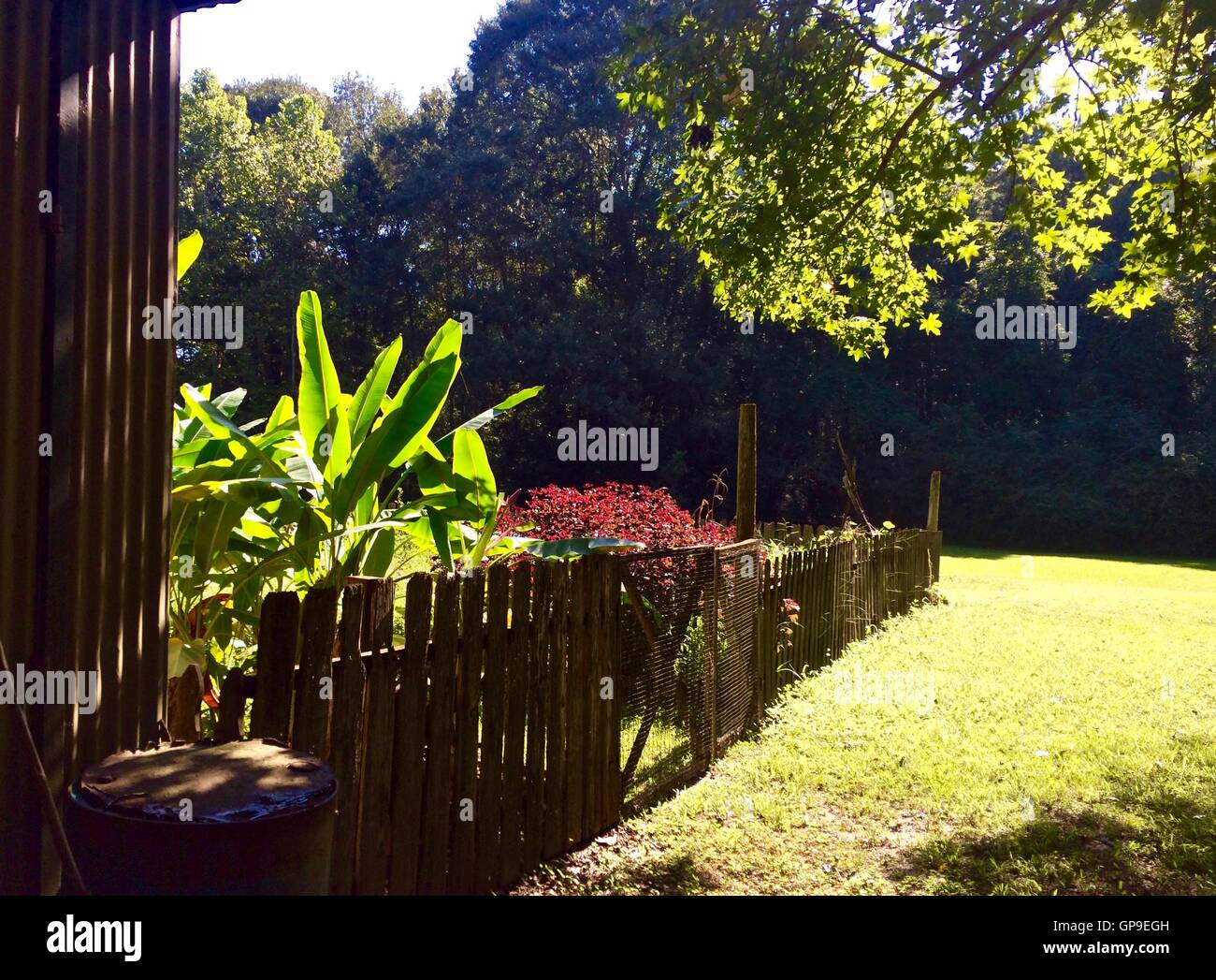 A fenced-off garden next to a shack Stock Photo - Alamy