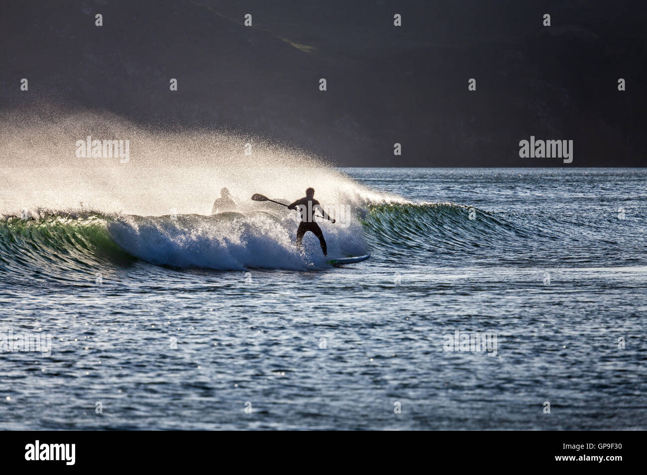 Surfer in West Wales, UK Stock Photo - Alamy