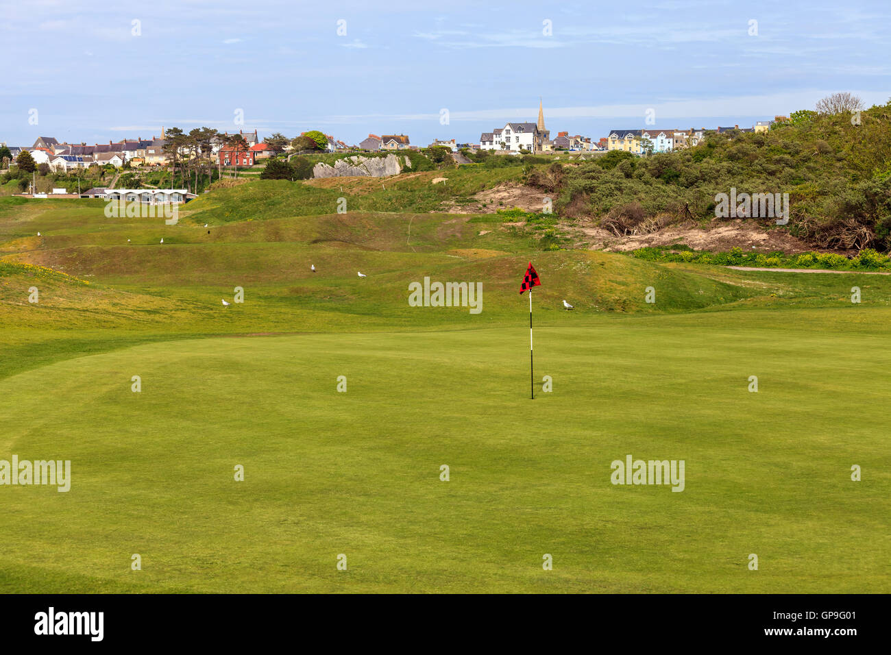 Gold course in Tenby Stock Photo - Alamy