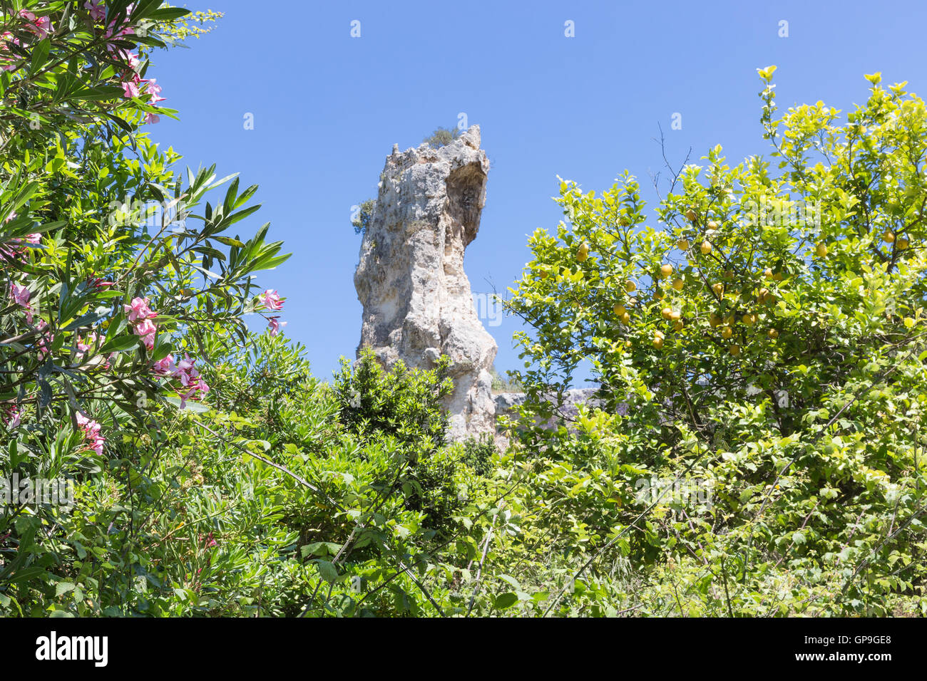 Rock and lemon-tree in Archaeological Park Neapolis at Syracusa, Sicily ...