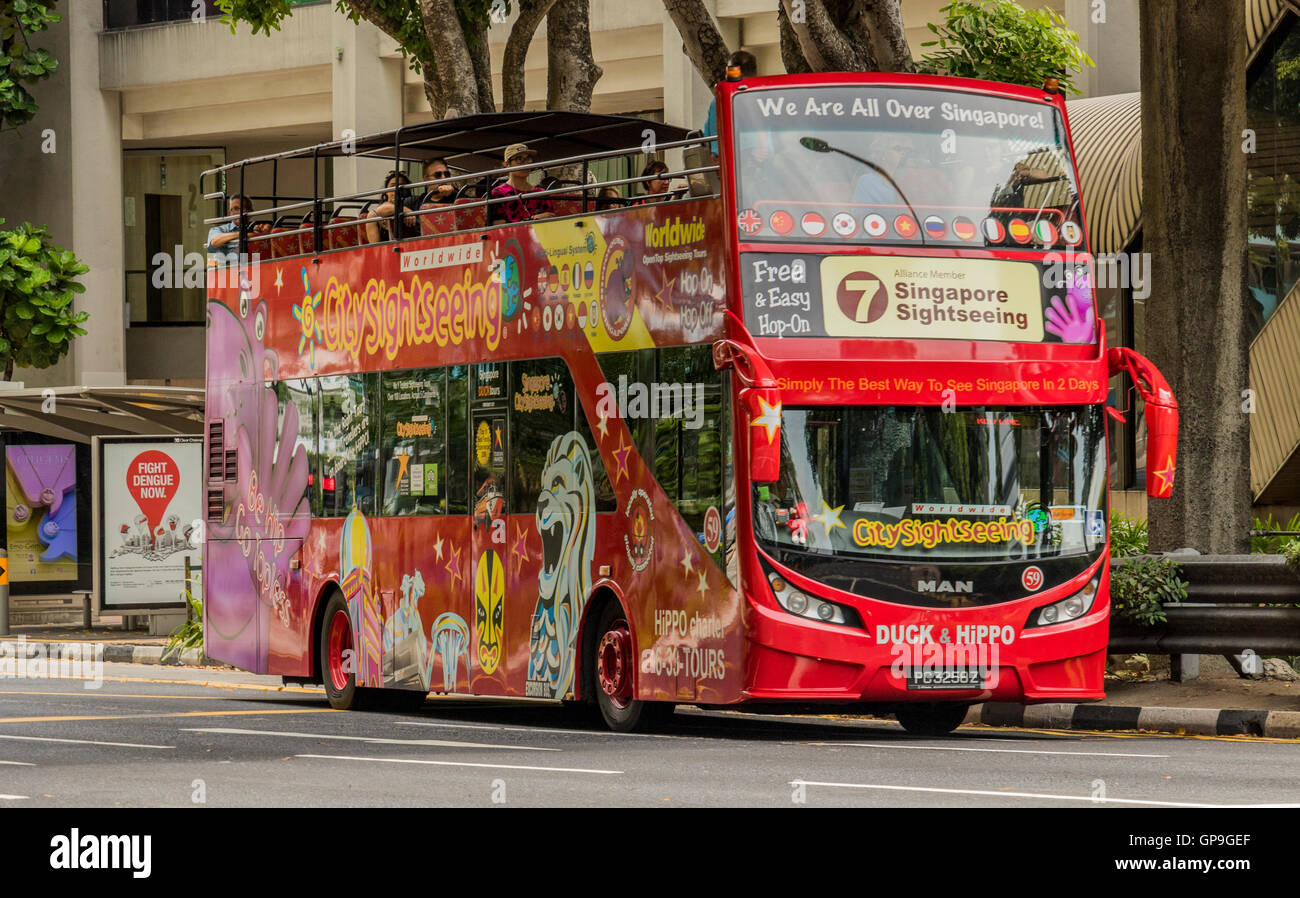 Singapore open bus not hippo hi-res stock photography and images - Alamy