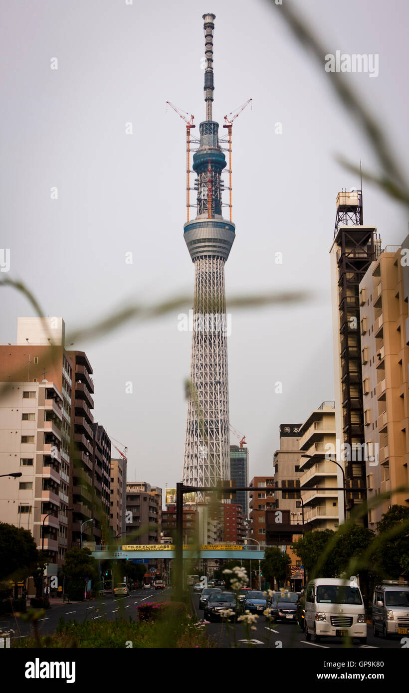 View of the Tokyo Sky Tree under construction in Tokyo, Japan Stock ...