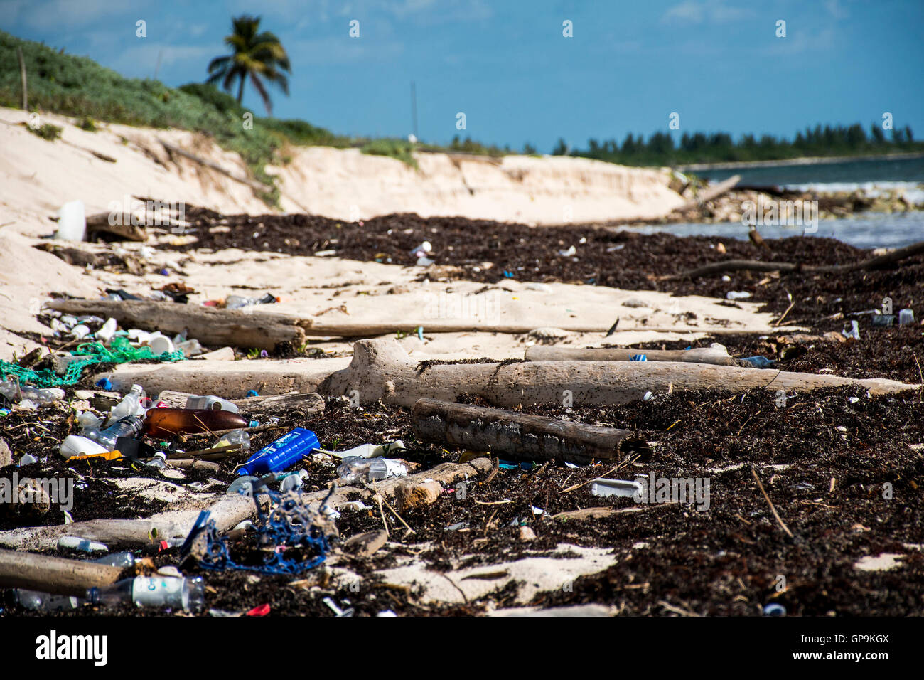 Mexico Coastline Pollution Problem with plastic 2 Stock Photo - Alamy