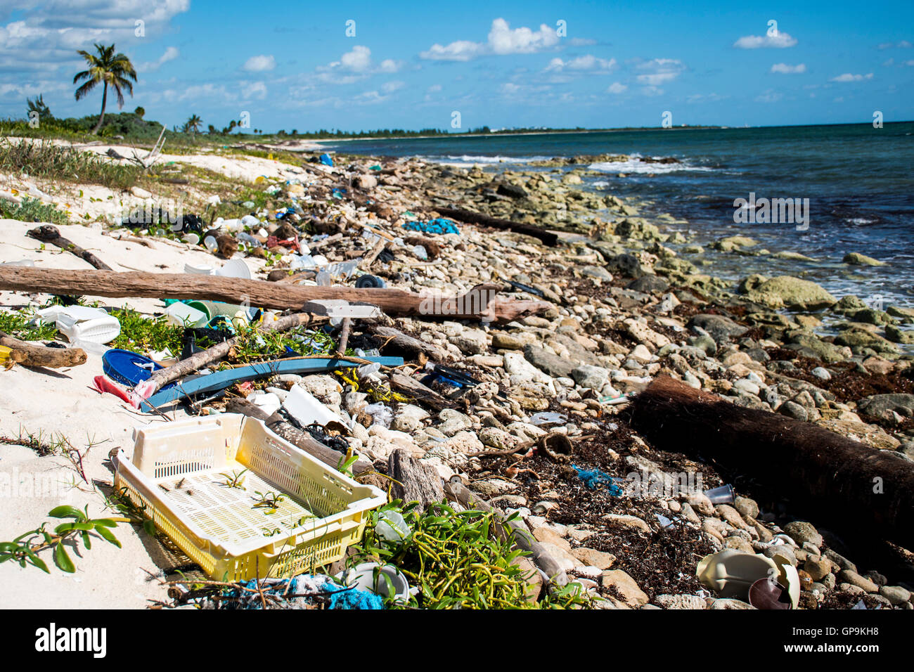 Mexico Coastline Pollution Problem with plastic Stock Photo - Alamy