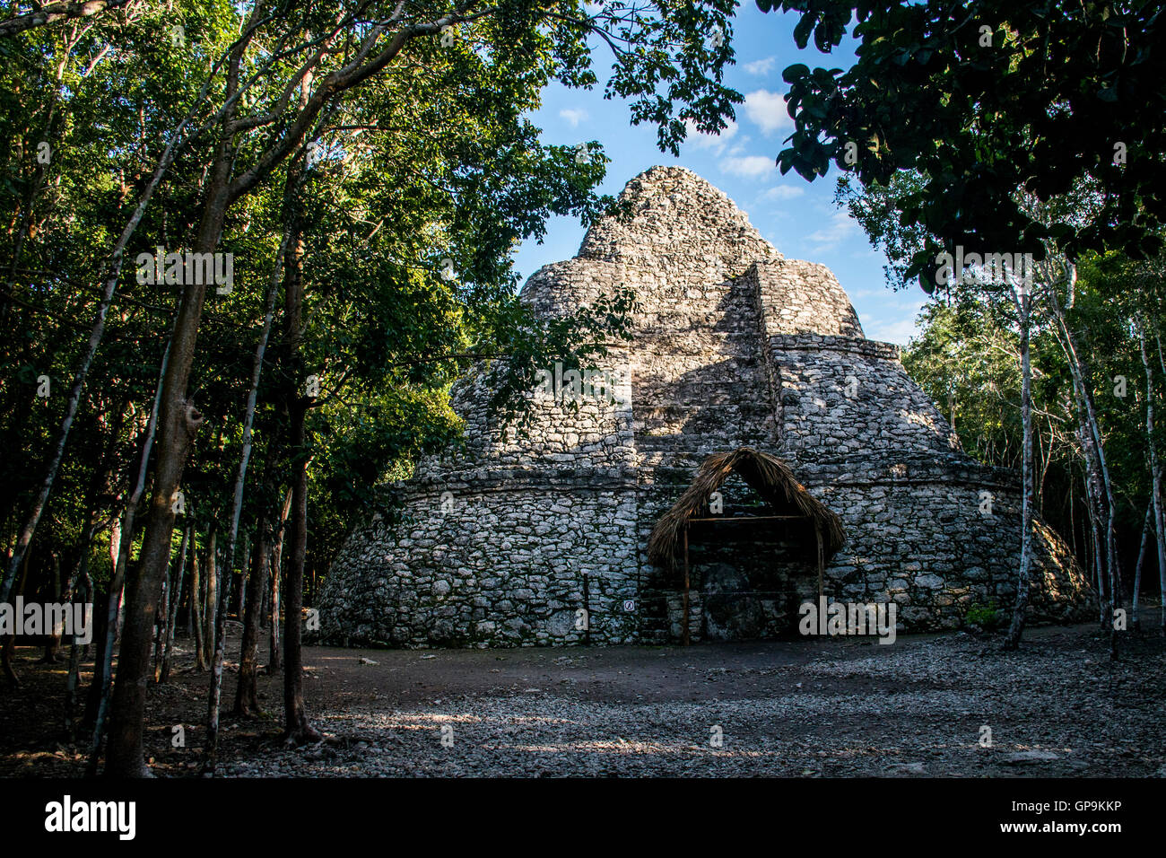 Coba Mayan Ruins in Mexico Yucatan Stock Photo - Alamy