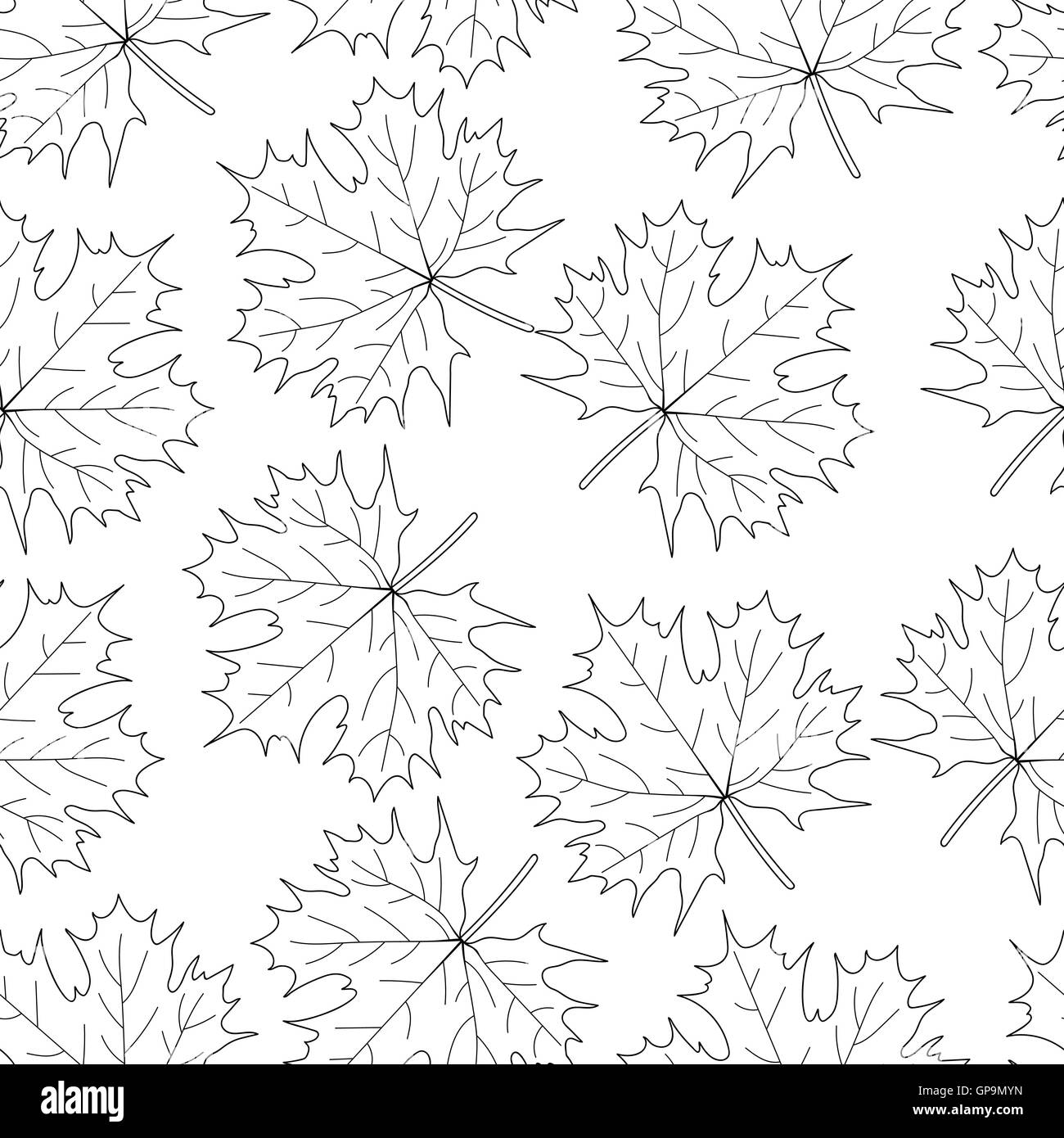 Seamless loop maple leaf on a white background Stock Vector Image & Art ...