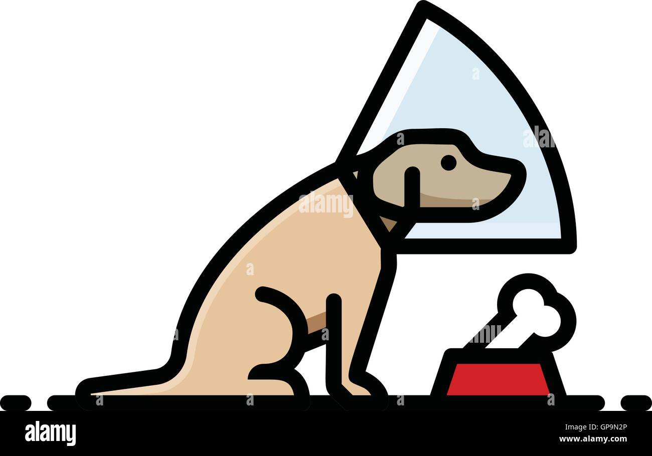 Yellow labrador lab Stock Vector Images - Alamy