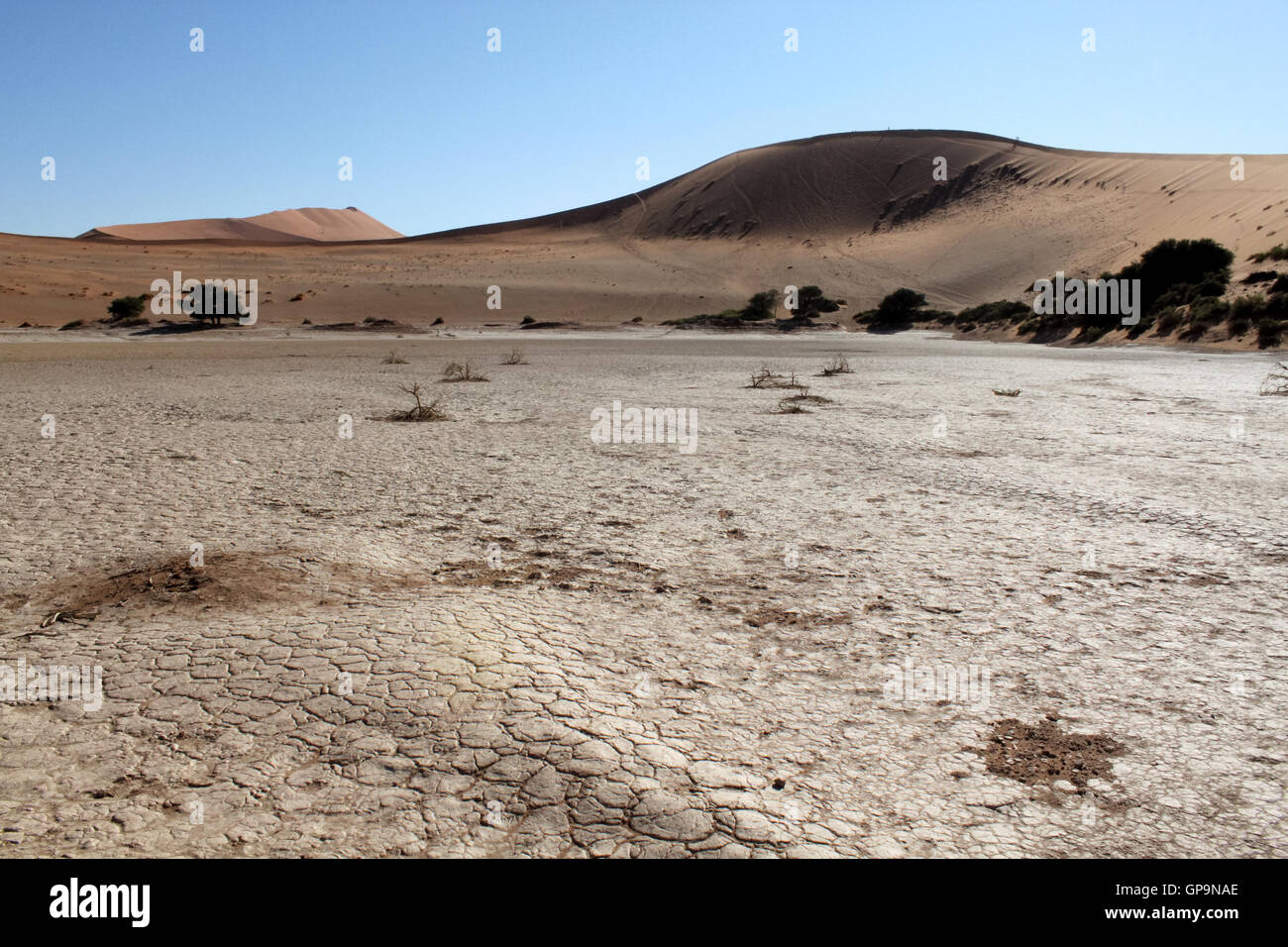 Cracked ground and sand dunes at Namib Desert, Namibia Stock Photo - Alamy