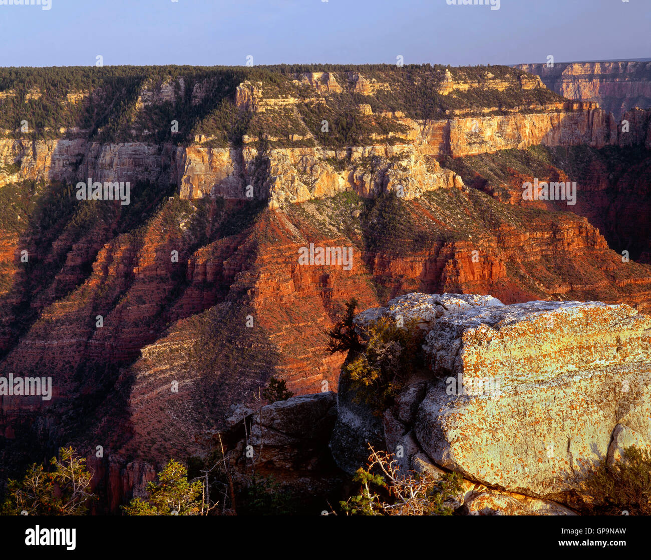 USA, Arizona, Grand Canyon National Park, North Rim, View across ...