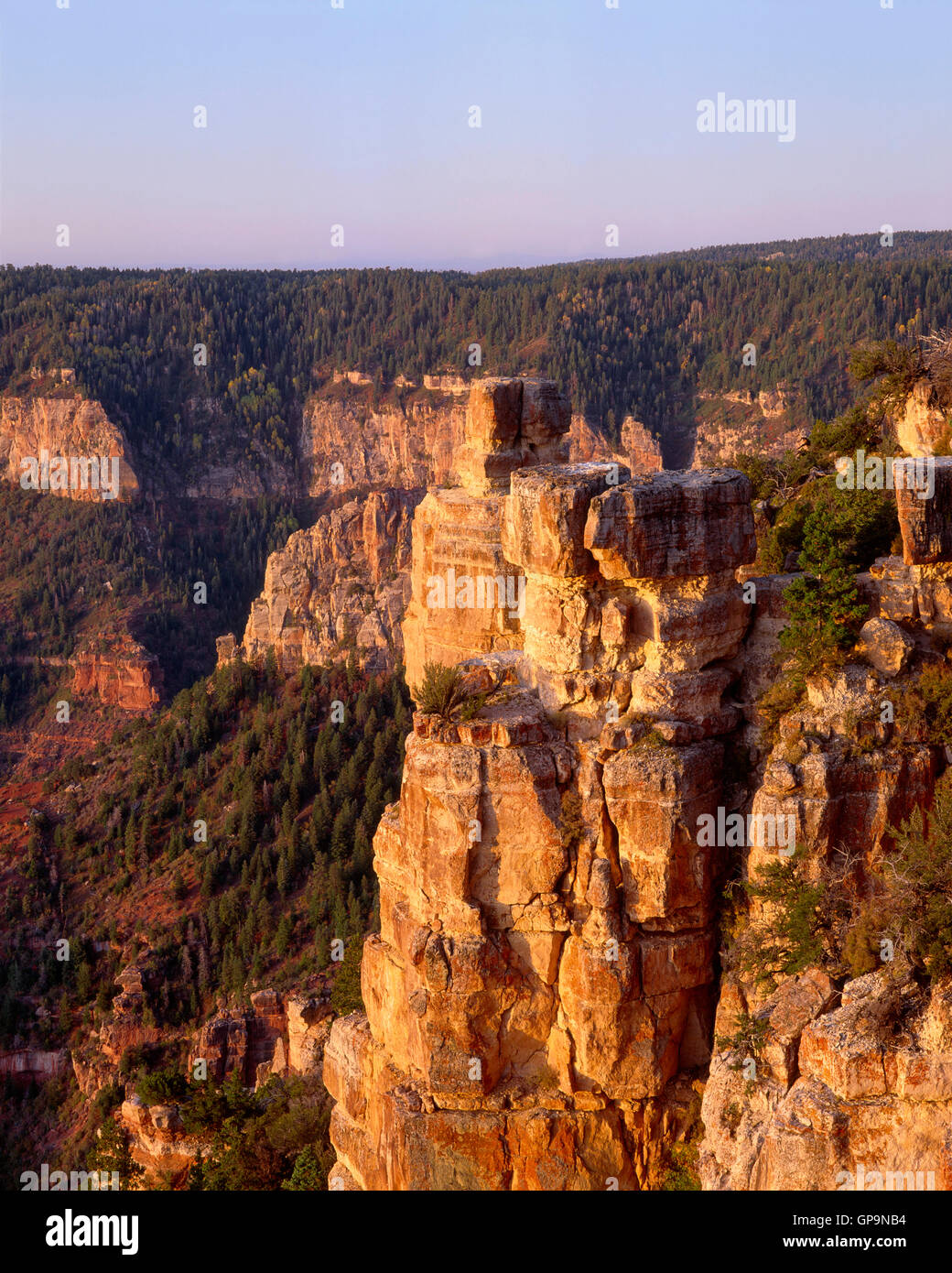 USA, Arizona, Grand Canyon National Park, Sunrise on Kaibab Limestone ...