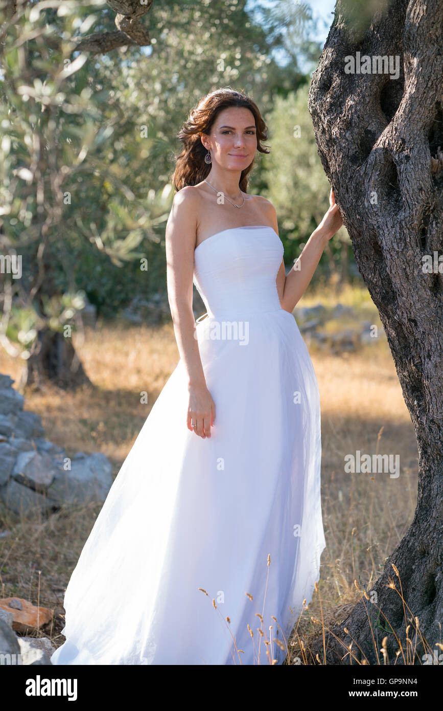 Pretty olive tree hi-res stock photography and images - Alamy