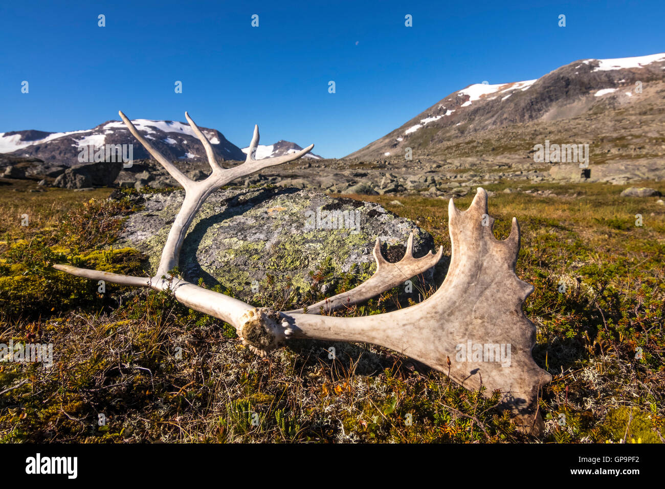 Antler Peak High Resolution Stock Photography and Images - Alamy