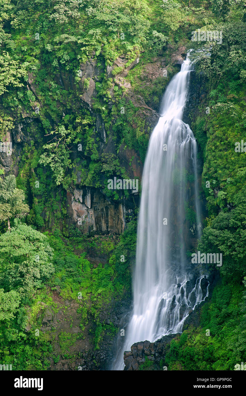 The image of Thoseghar waterfall in Satara, Maharashtra, western ghats ...