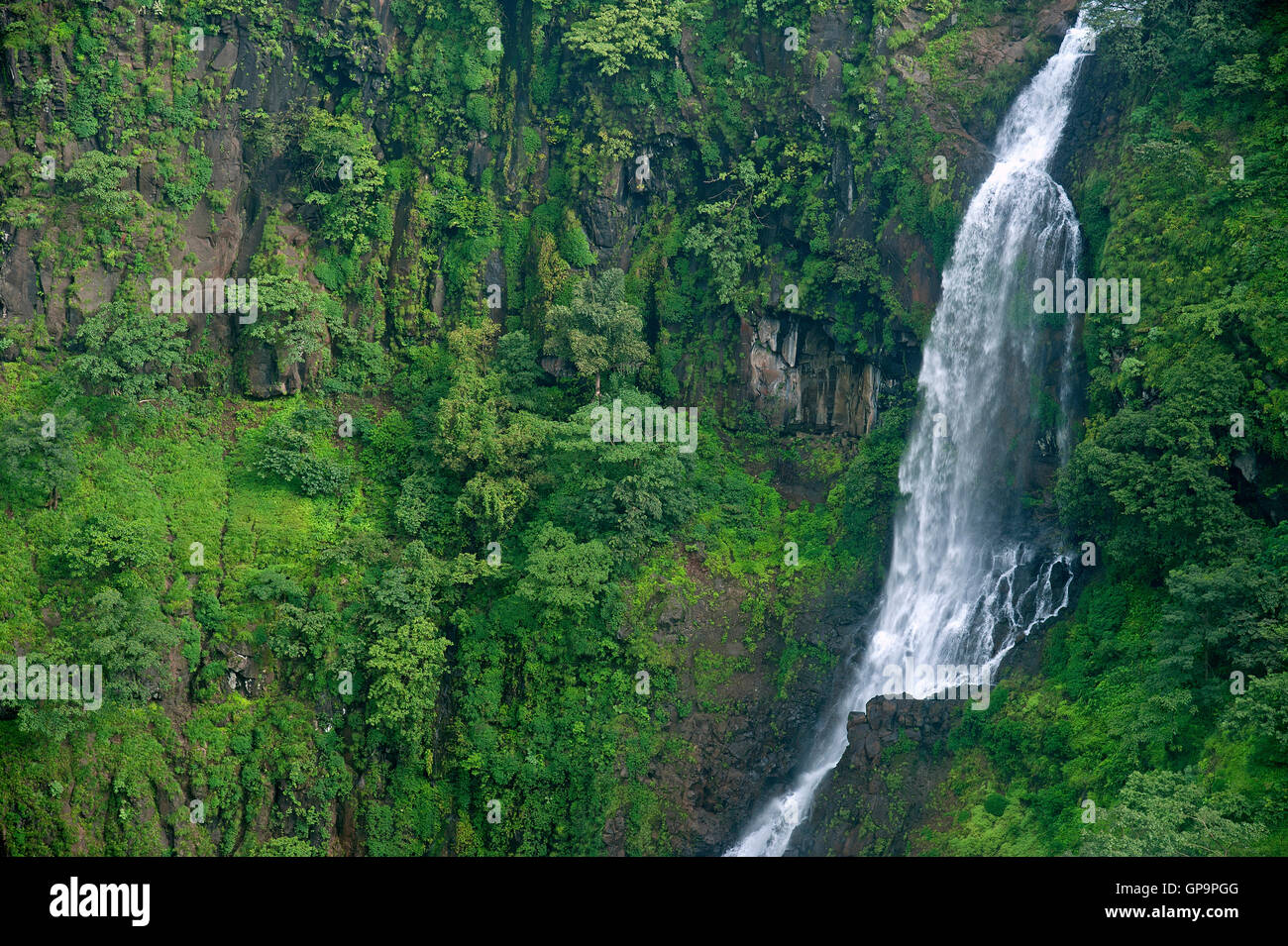 The image of Thoseghar waterfall in Satara, Maharashtra, western ghats ...