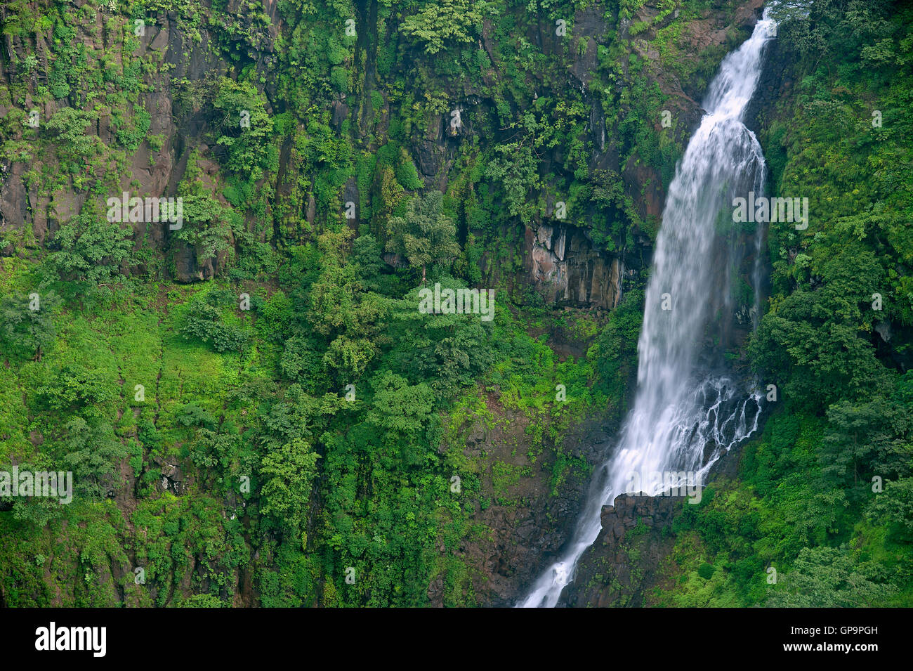 The image of Thoseghar waterfall in Satara, Maharashtra, western ghats ...