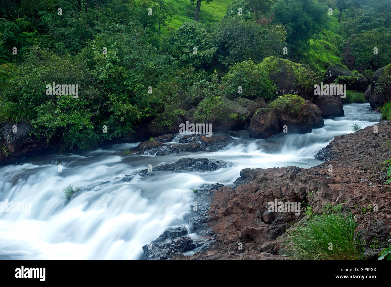 The image of Stream in Satara, Maharashtra, western ghats, monsoon ...