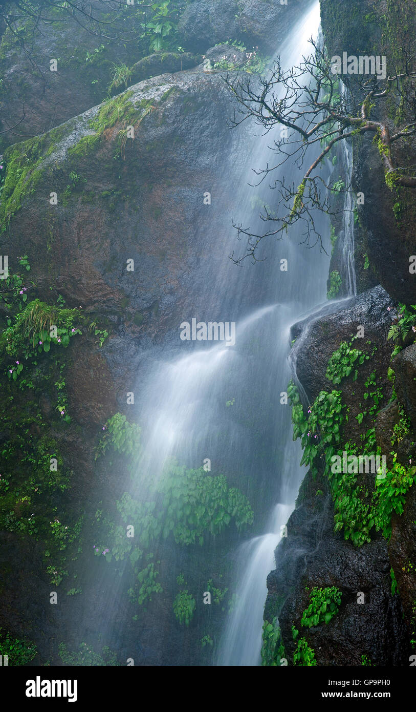 The image of Waterfall in Mahabaleshwar, Hill station Maharashtra ...