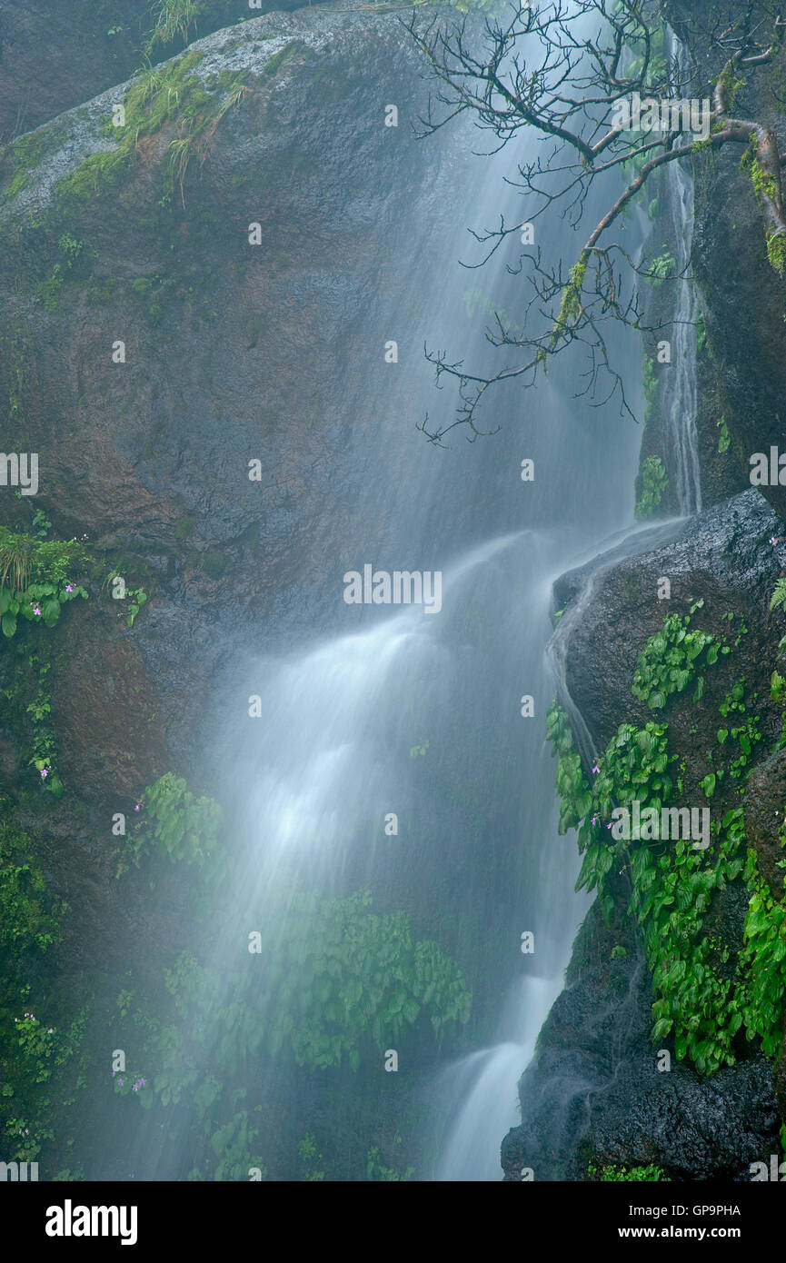 The image of Waterfall in Mahabaleshwar, Hill station Maharashtra ...