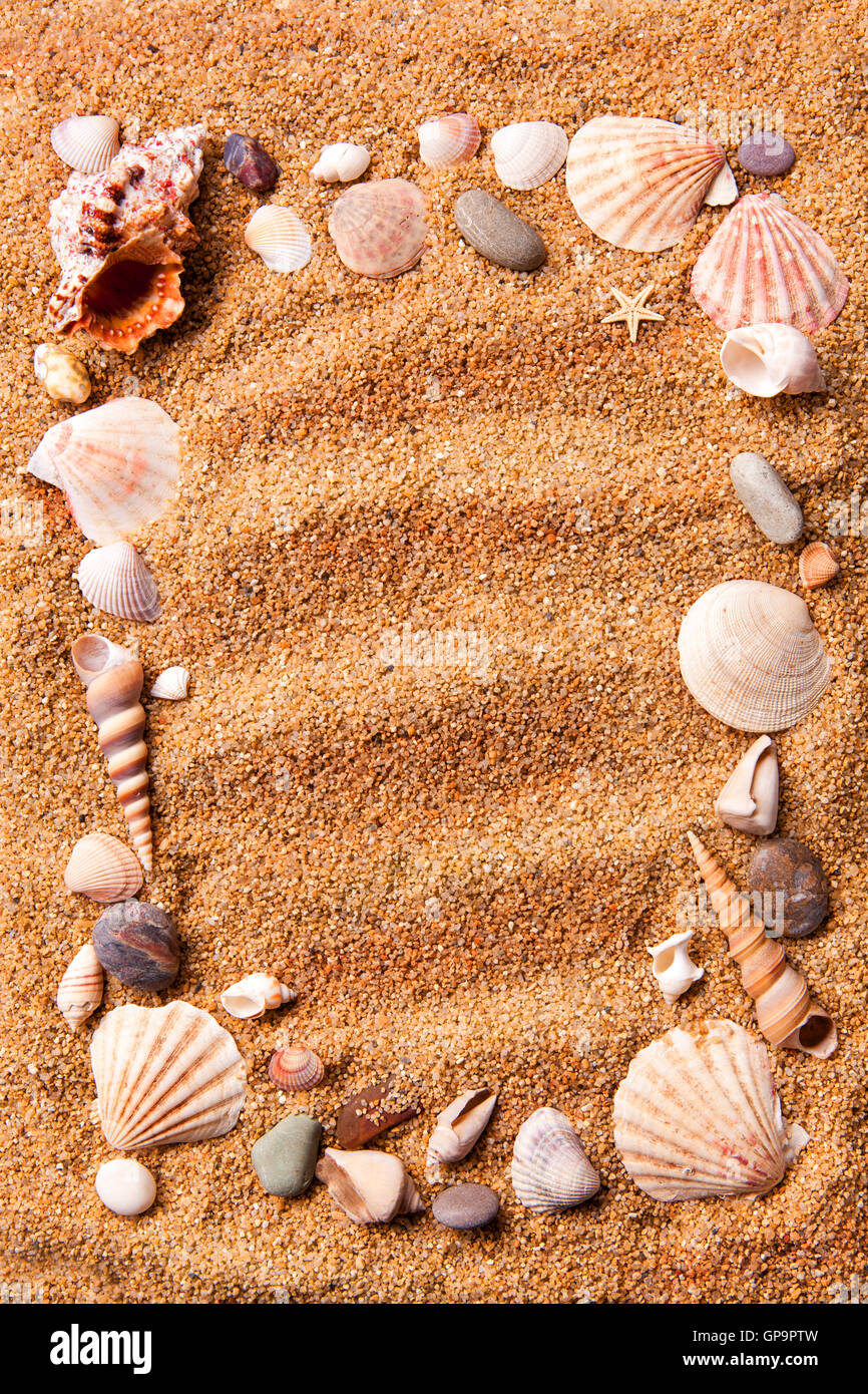 frame from various shells on sand Stock Photo - Alamy