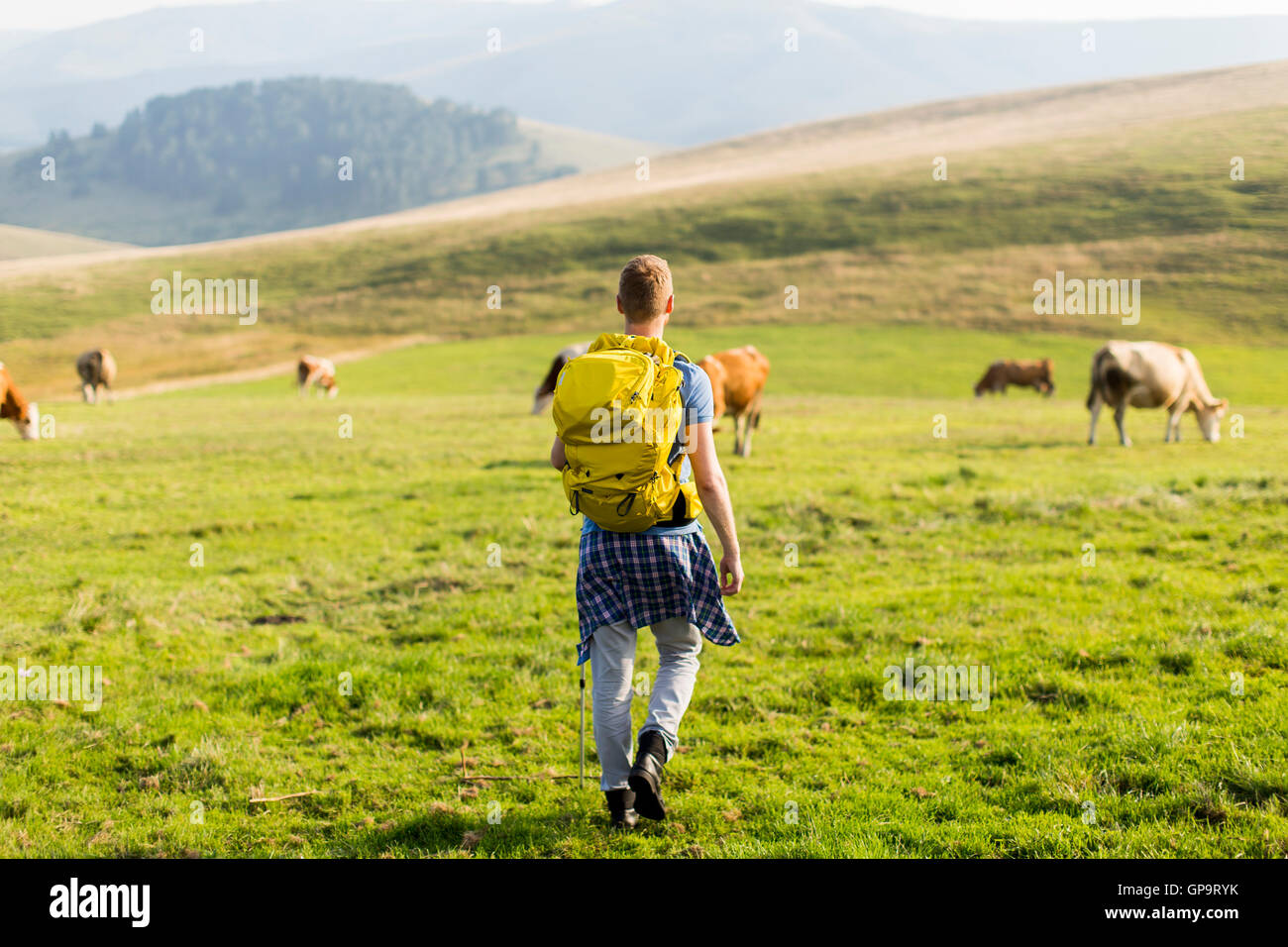View of happy young man hiking in countryside Stock Photo - Alamy