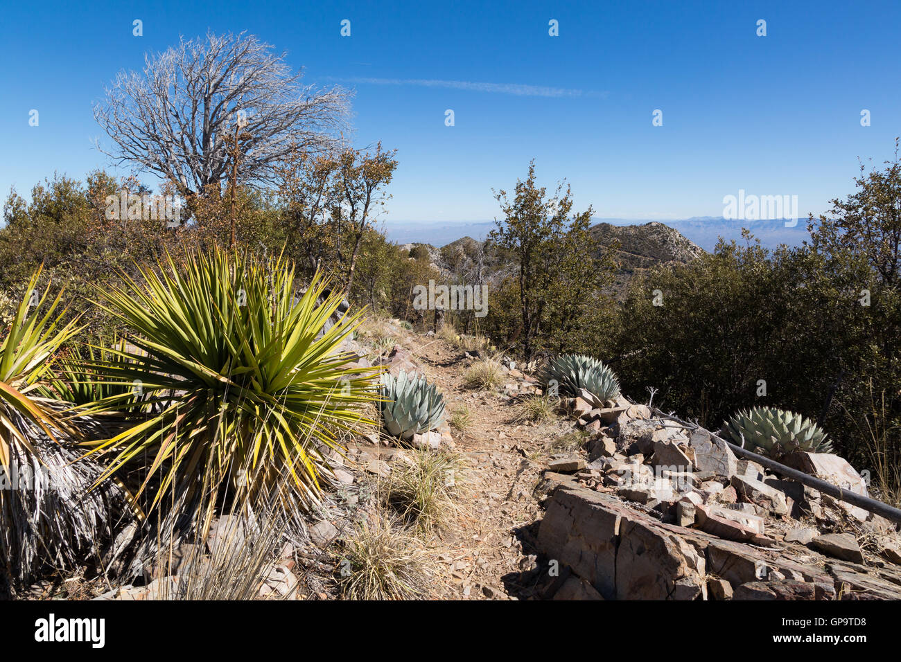 Yucca ridge trail hi-res stock photography and images - Alamy
