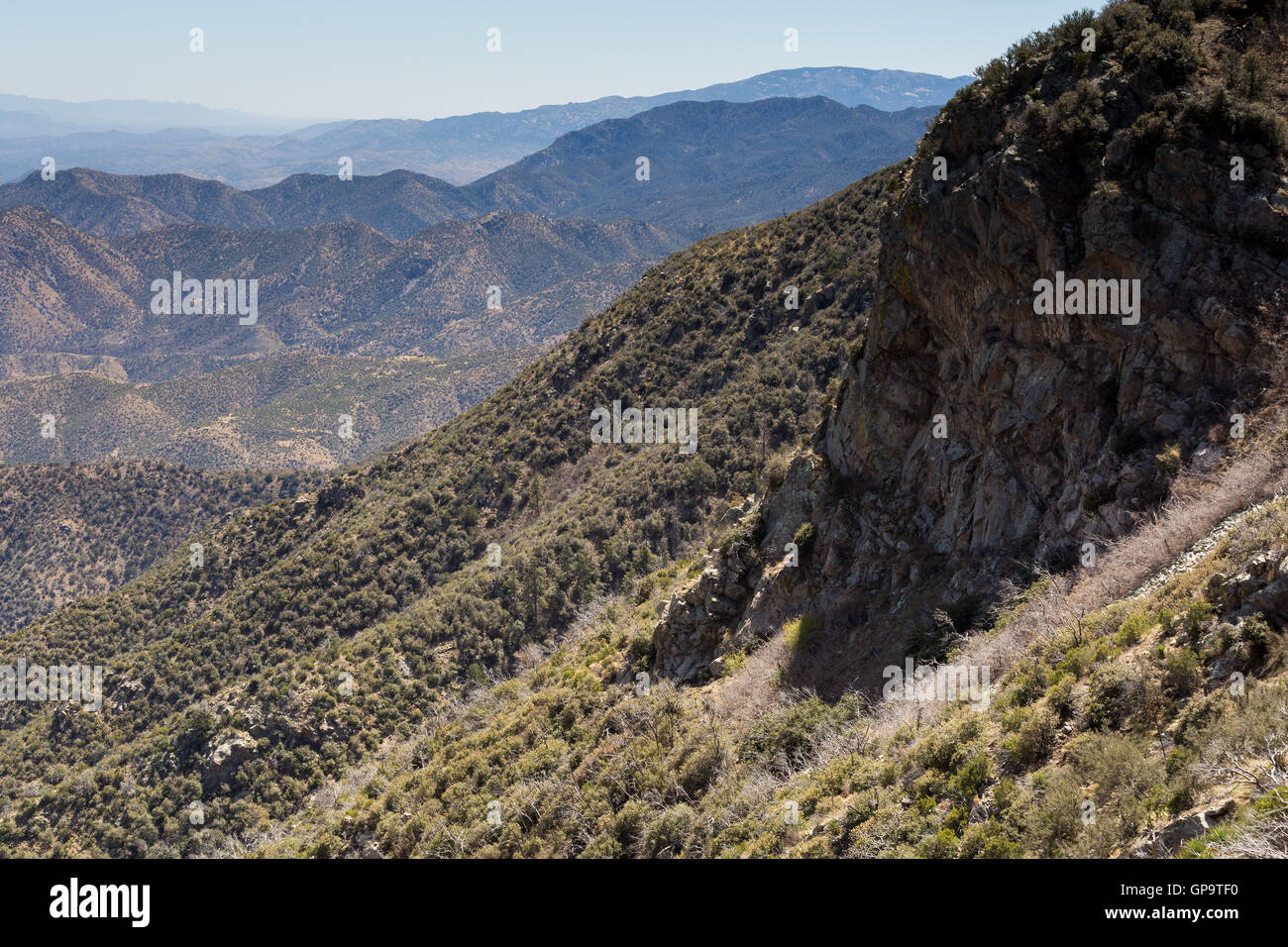 Mica Mountain and the Rincon Mountains behind Oracle Ridge of the Santa ...
