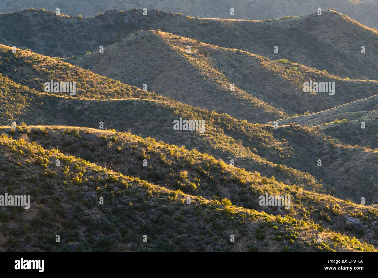 The Oracle Ridge smoothing out into high desert hills as it nears the ...