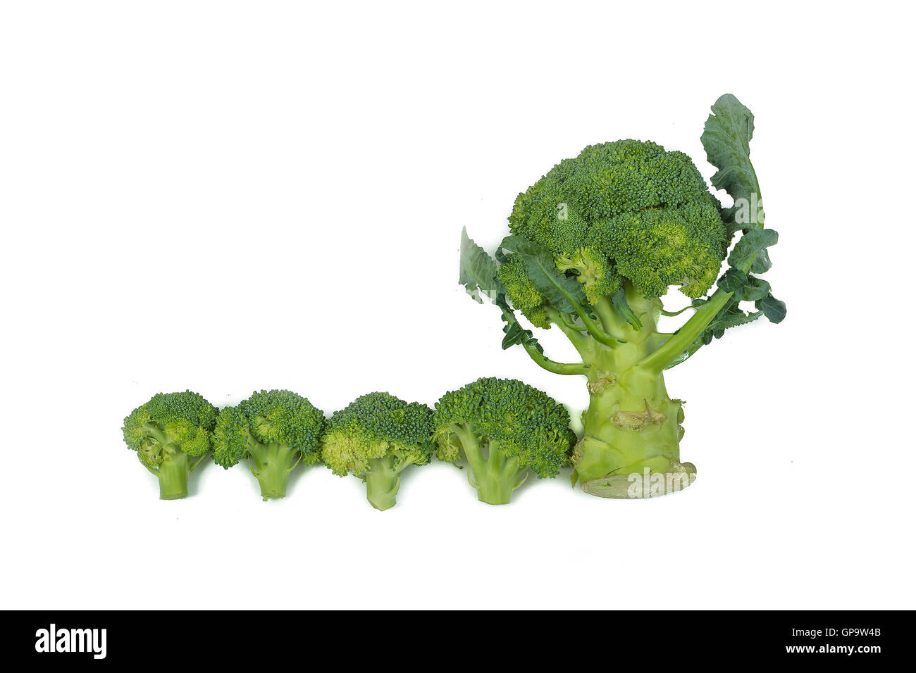 Fresh, Raw, Green Broccoli Pieces, Cut and Ready to Eat Stock Photo - Alamy