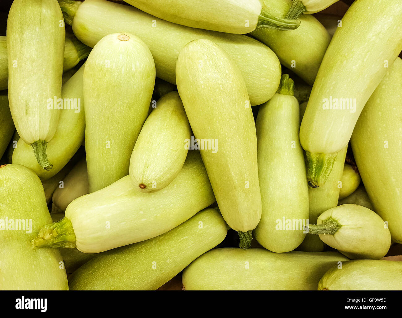 Background of fresh squash Stock Photo - Alamy