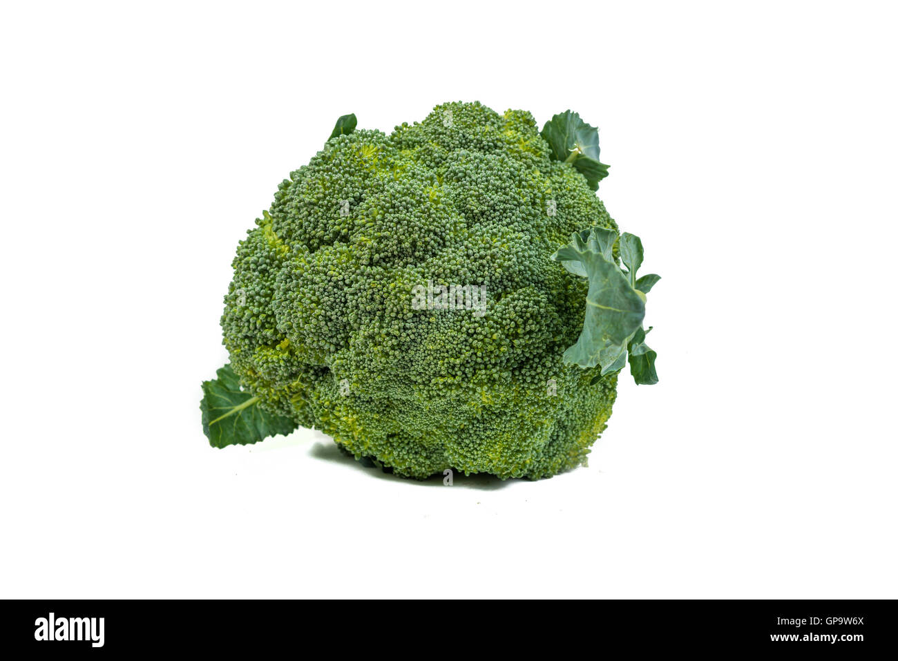 Fresh green broccoli vegetable isolated on white background, Healthy ...