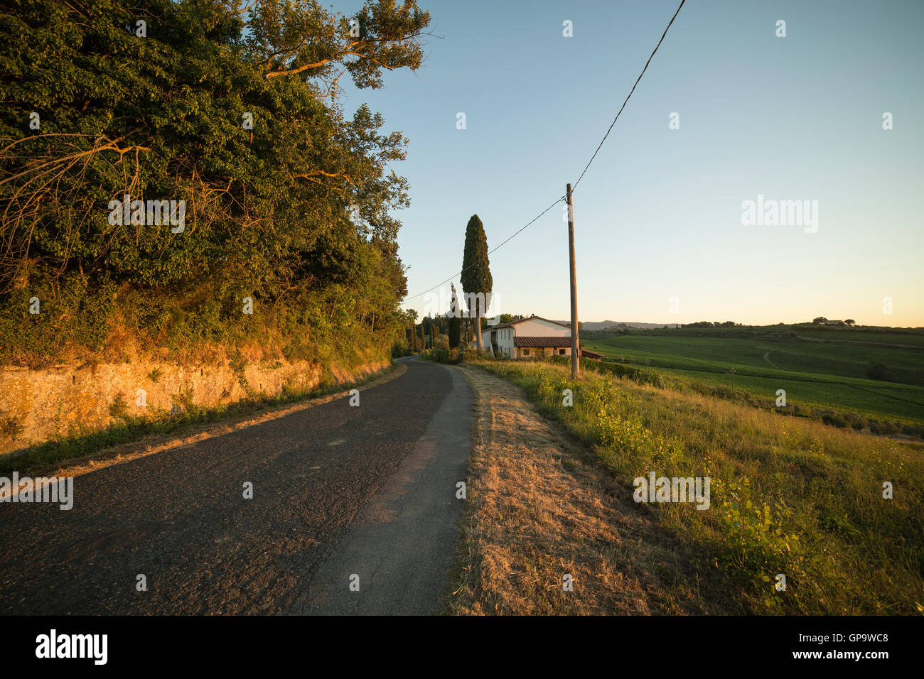 Rural street in Tuscany, Italy Stock Photo - Alamy