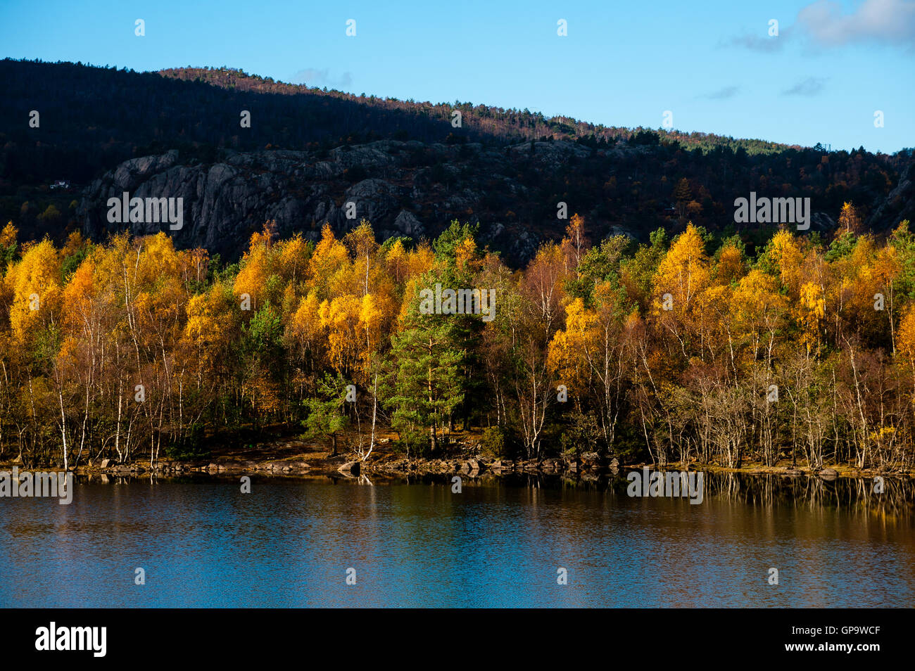 Imsvatnet, Sandnes, Norway. Colourful autumn colours Stock Photo - Alamy