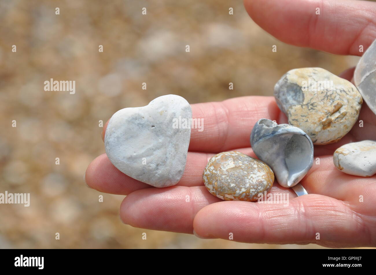 heart pebble on hand Stock Photo - Alamy