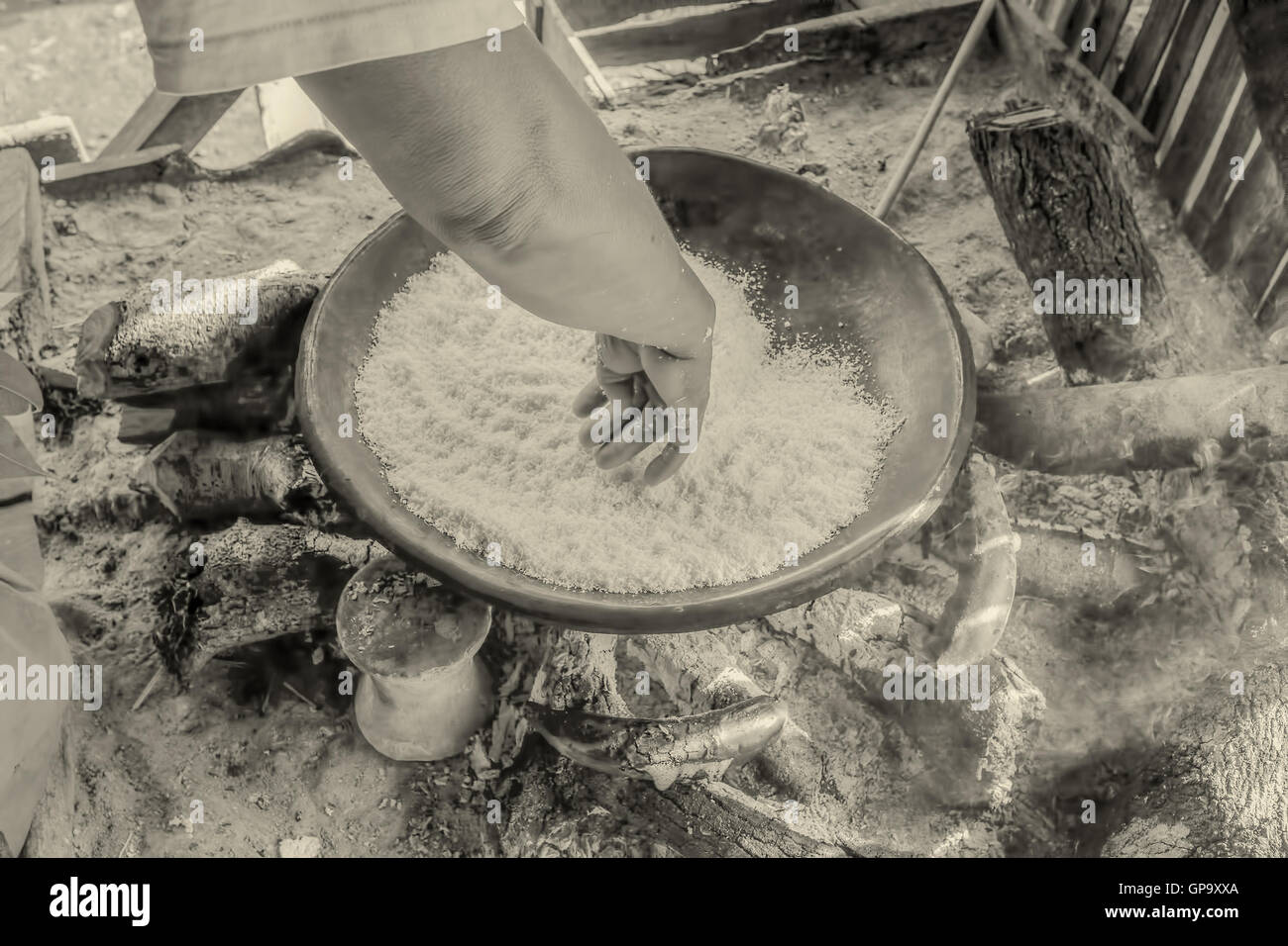 Traditional Indigenous Kitchen With Firewood On The Floor, Cuyabeno ...