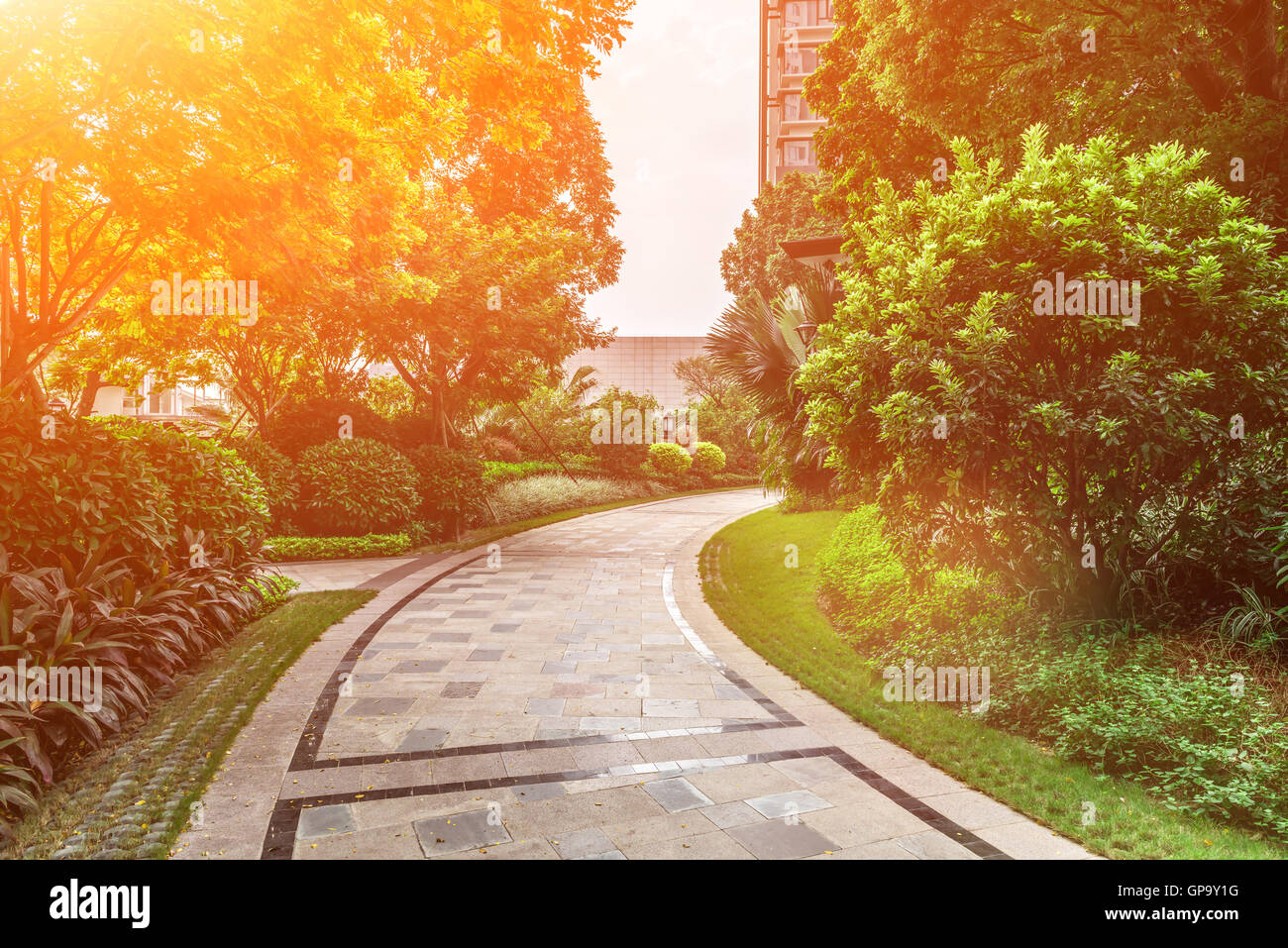 pathway in outdoor of a residential building with the Sun rising in the ...